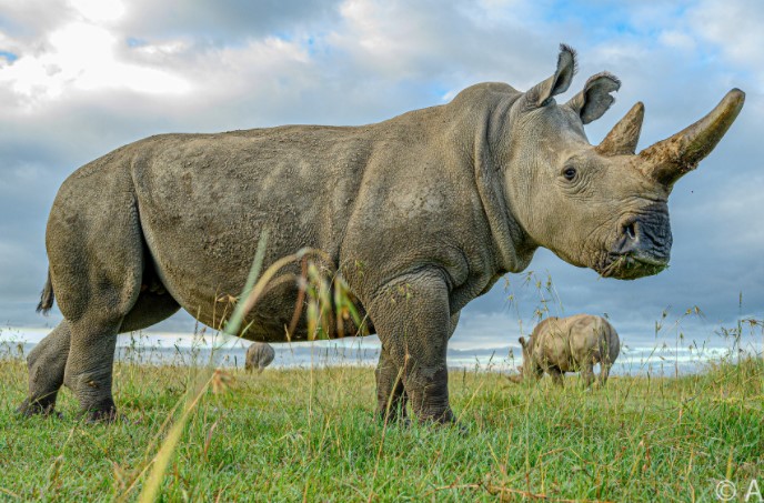 Home [joicexz.github.io]